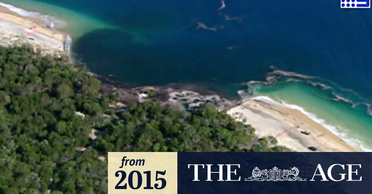 Video: Inskip Point sinkhole was 'mayhem'